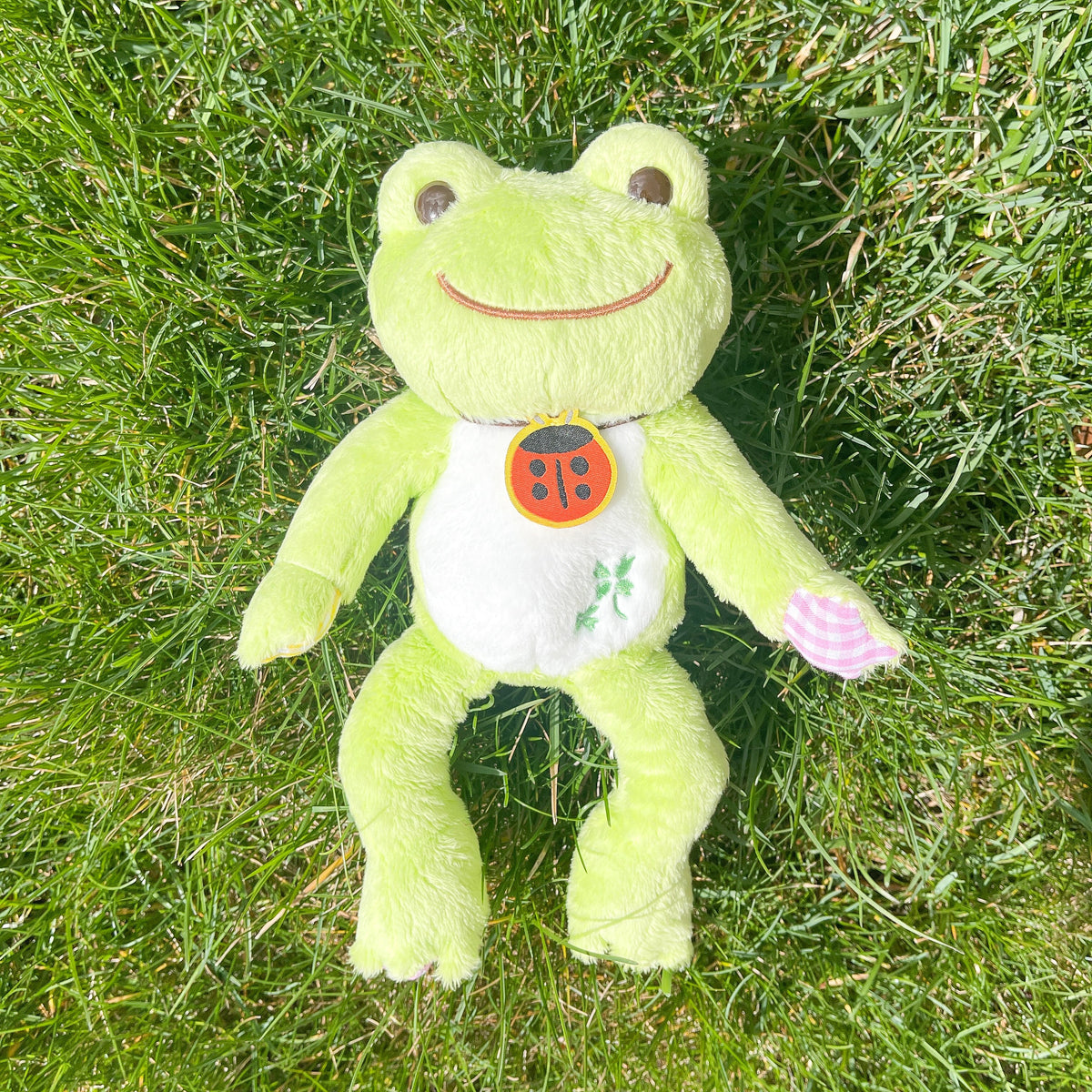 Pickles the Frog – Mary Bear